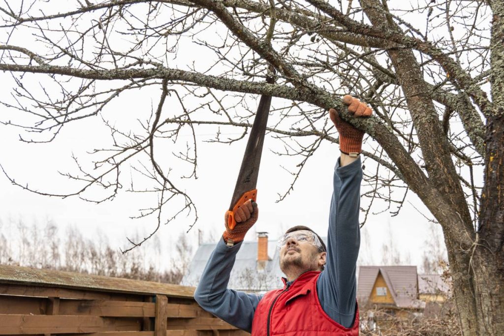 Can You Do Tree Lopping and Pruning by Yourself?